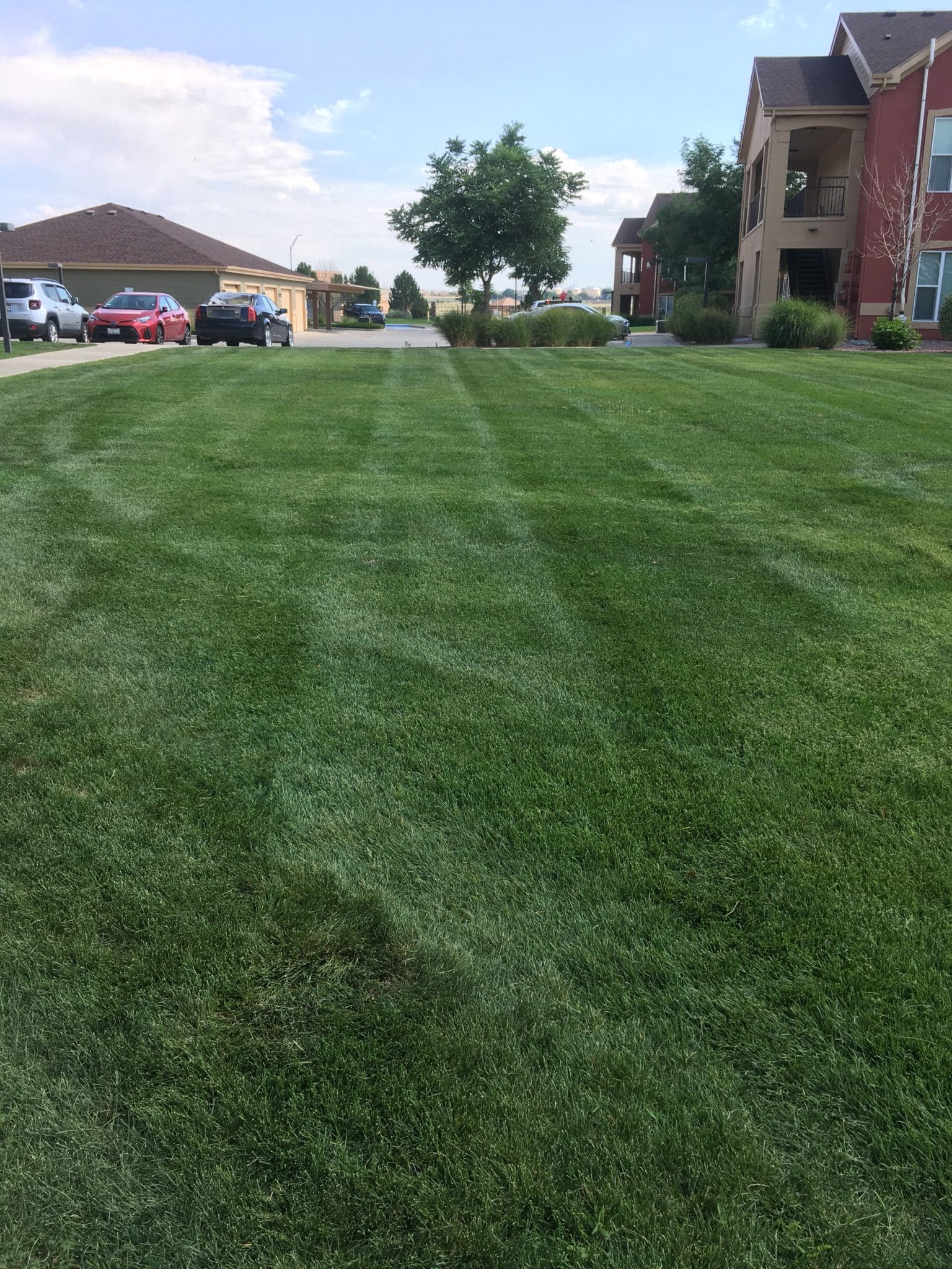 Colorado Springs, CO's Choice Among Area Landscaping Companies